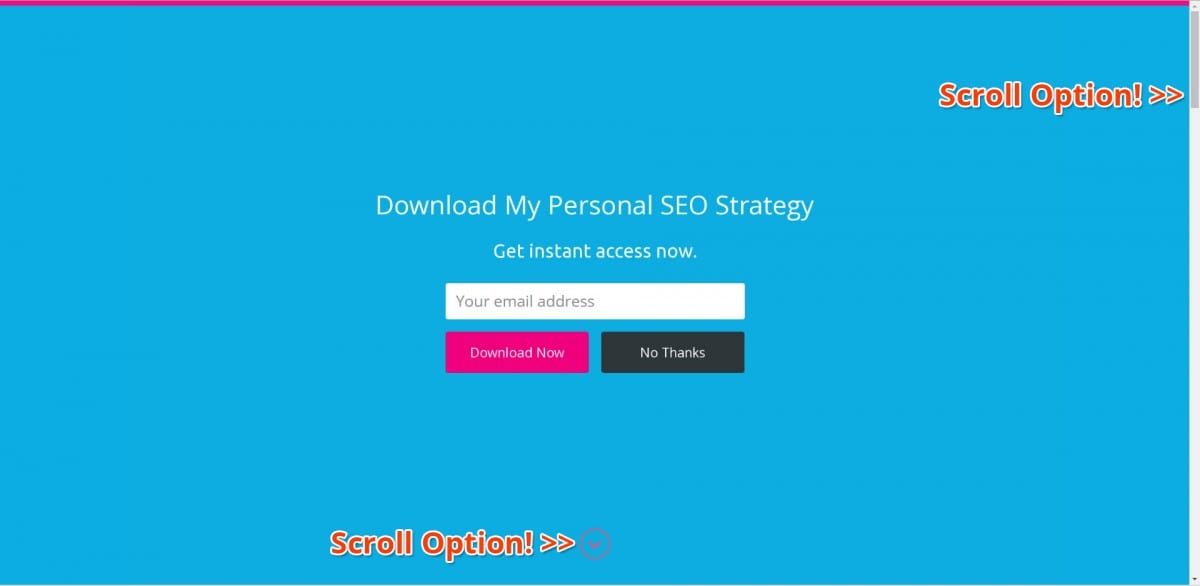 8 Opt-in Form Examples You Can Implement With Ease | Crazy Eye Marketing